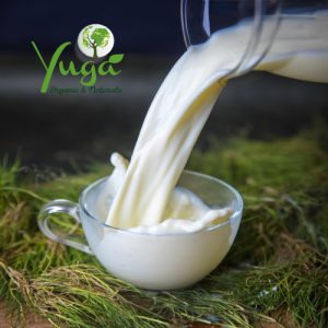 Cold Pressed Oil Near Me | Wood Pressed Oil Near Me Yuga Organic